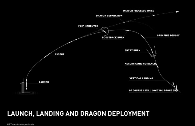 Release the Dragon! - The Muskette